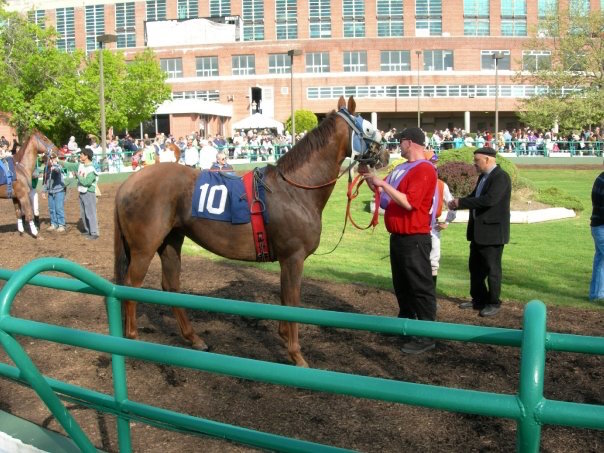 How to Bet on a Horse | Three Days, Three Ways